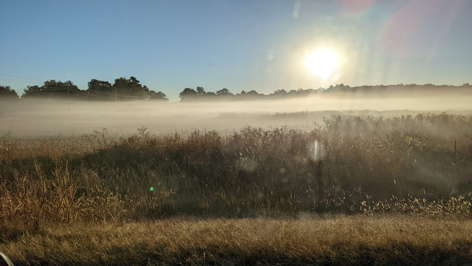 SmartHub Information – Craighead Electric Cooperative, Inc.